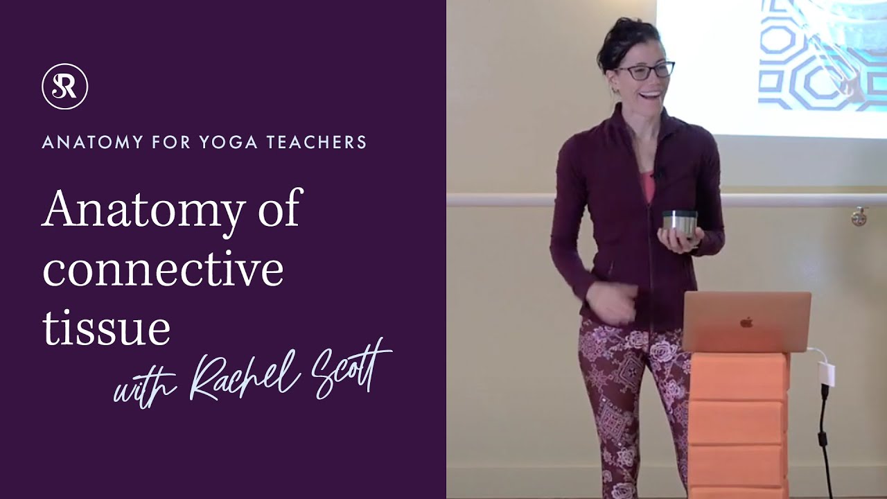 Anatomy of Connective Tissue: Learn Yoga Anatomy - YouTube