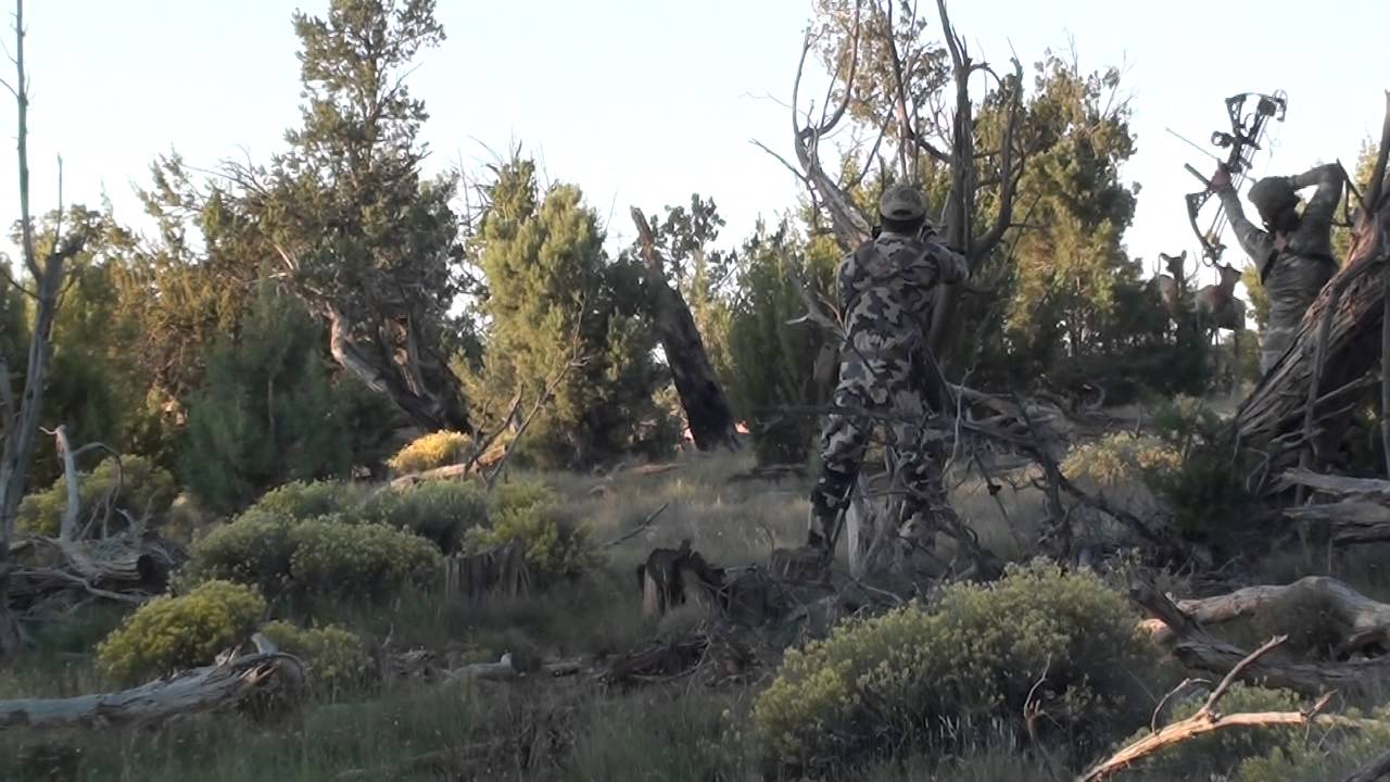 Unit 10 Elk Rut - YouTube