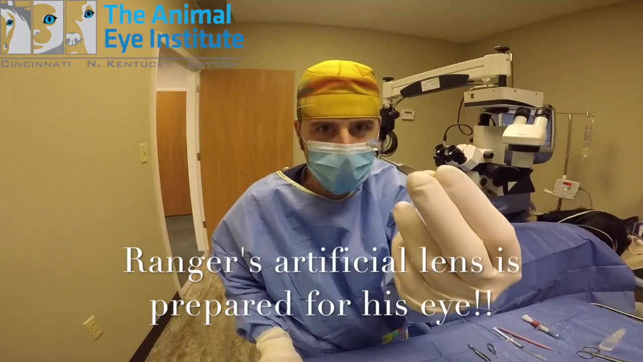 Ranger's Cataract Surgery 12 28 16 - YouTube