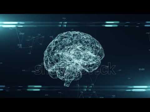 Brain video footage - YouTube