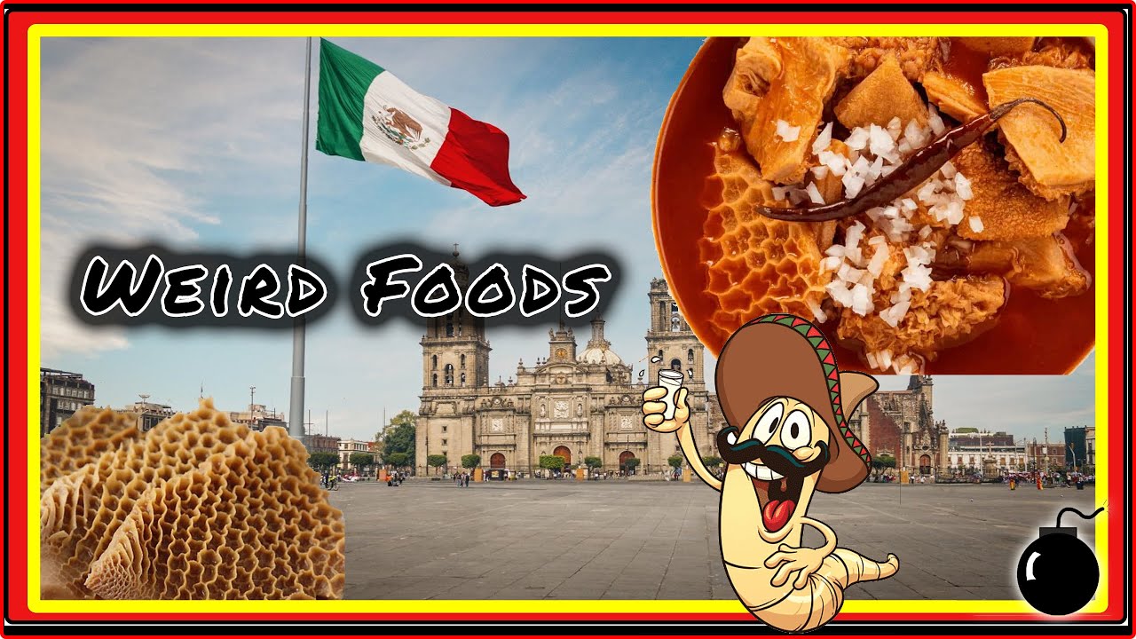 Menudo, Pancita, & Tequila Worm: Mexico's Bizarre Foods Unveiled! - YouTube