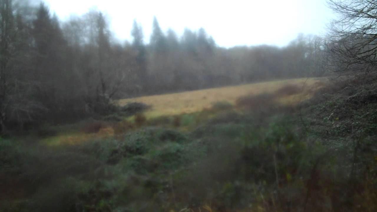 Grays RIver Flood Hull Rd 4 - YouTube