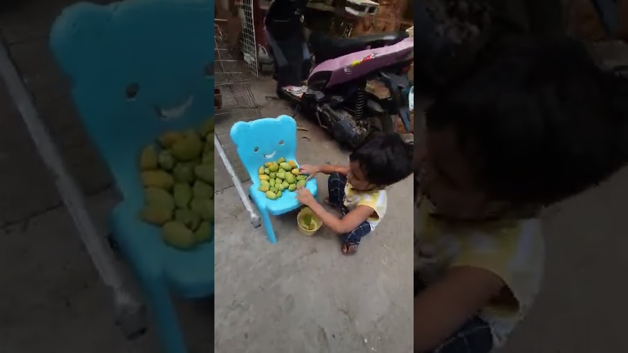 Mango Carabao Tree..Manggang Kalabaw🥭 🌲..Sour (Raw) and Sweet when it's ...
