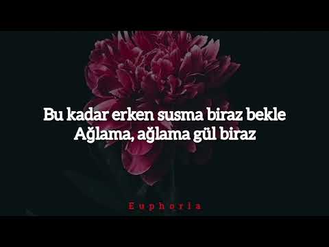 mustafa ceceli-karanfil (lyrics)