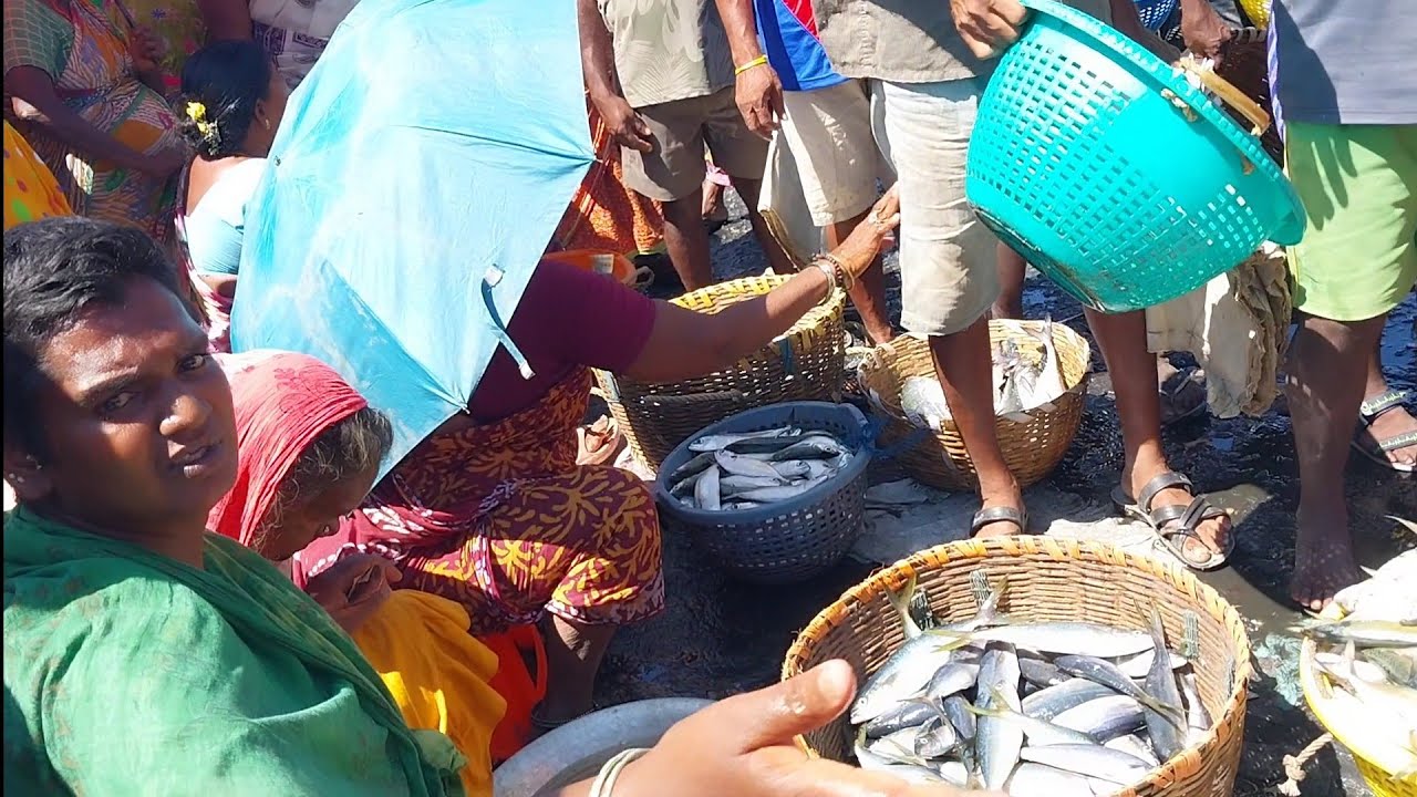 kasimadu meen yaalam Karthika giri official kasimadu fresh fish Market ...