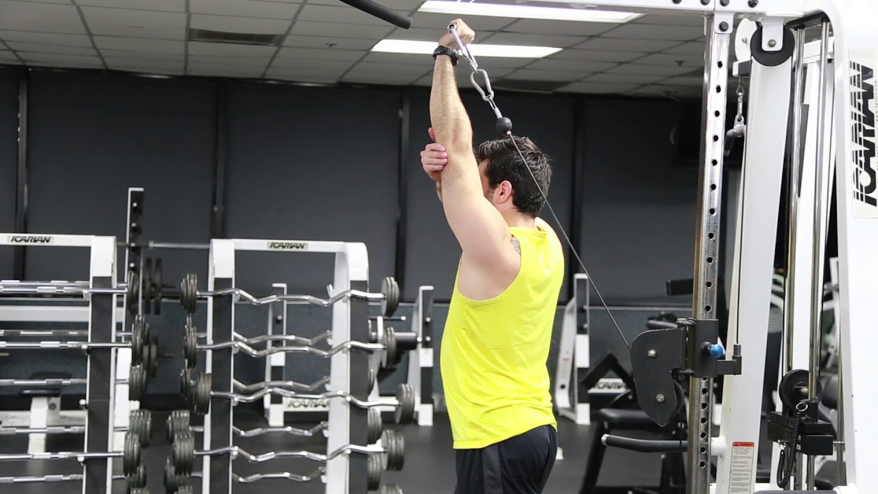 6) Standing One Arm Overhead Cable Tricep Extension [Rope][Pulley ...