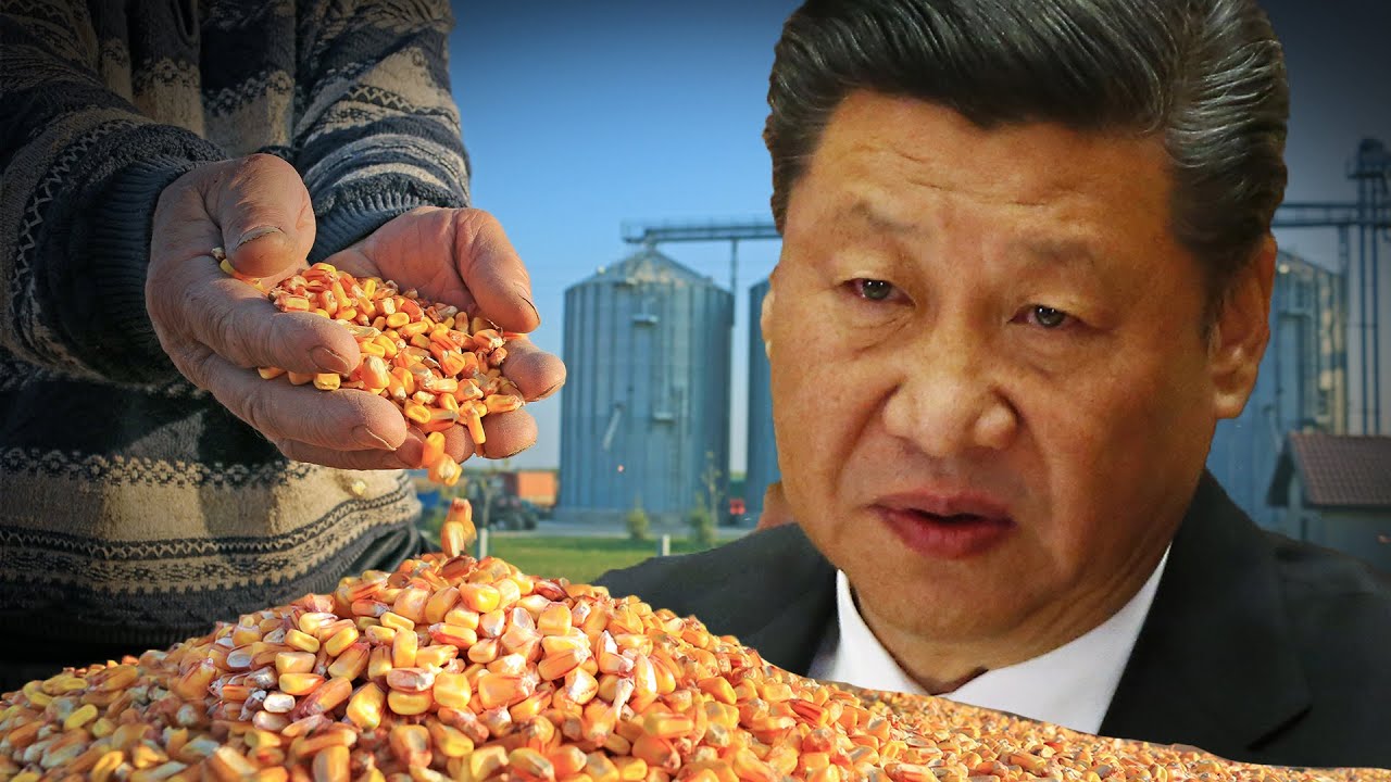 China Is HOARDING—Why? - YouTube