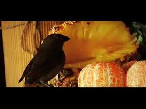 ELODY MARQUANT - PEU IMPORTE LE LIEU