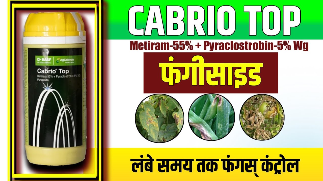Cabrio Top Fungicide | BASF Cabrio Top Fungicide | Cabrio Top Fungicide ...
