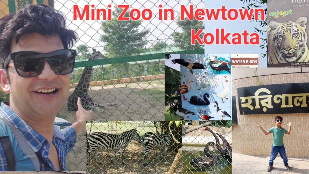Mini Zoo in Newtown Kolkata || Harinalaya || A Visit to the Zoo - YouTube