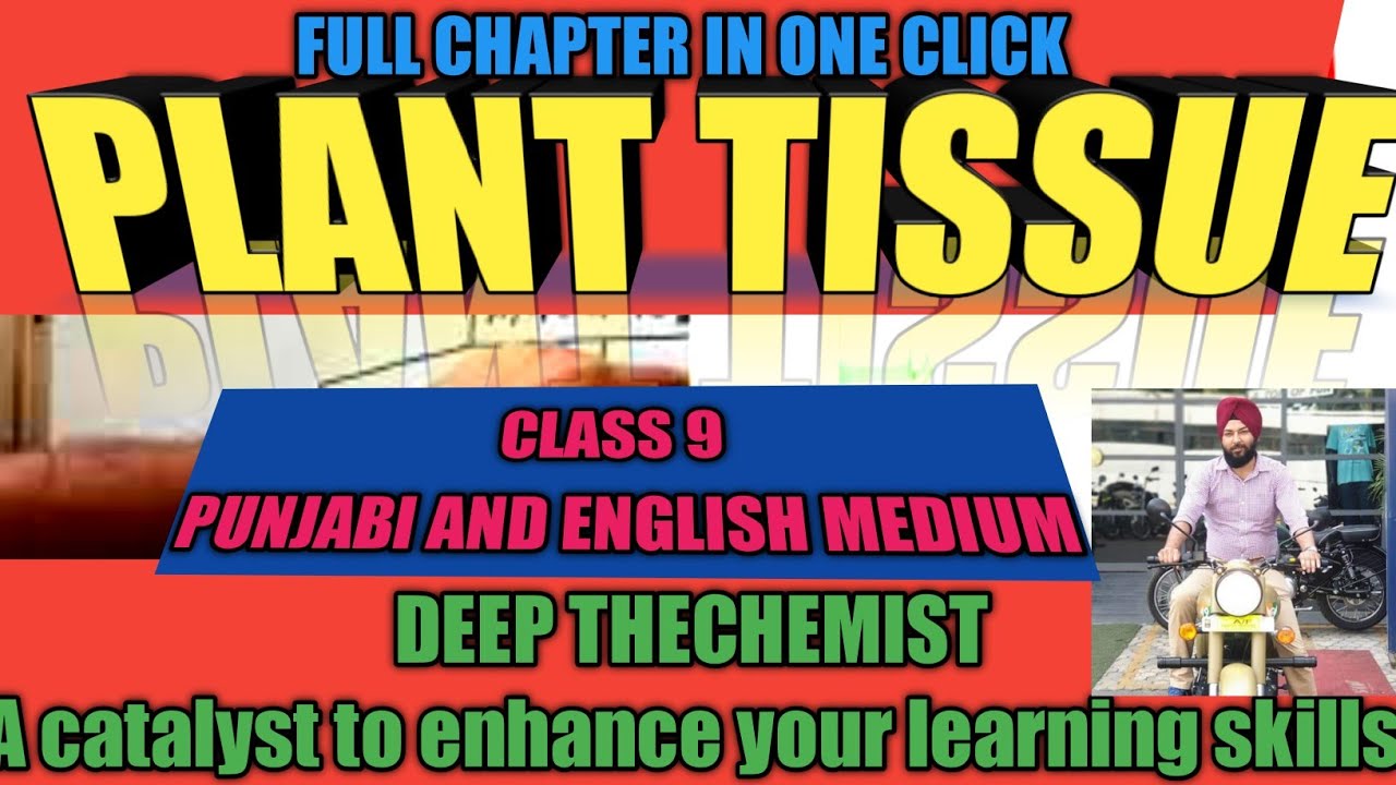 plant tissue class 9 | class9 ncert science| plant tissue | xylem and ...