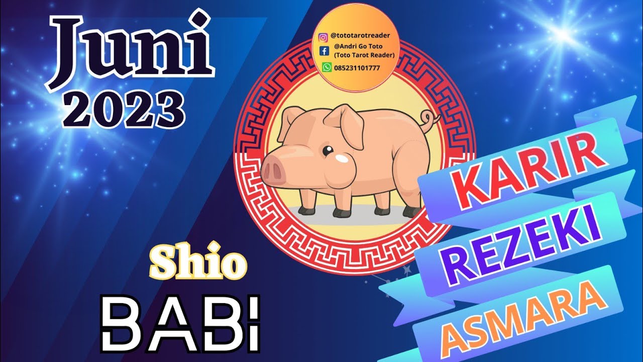 Shio BABI bulan JUNI // Prediksi kehidupan Shio Babi, paling HOKI ...