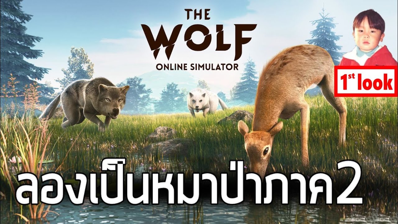 Wolf Online 2 เกมมือถือ MMO จำลองการเป็นหมาป่าภาค 2 !? - YouTube