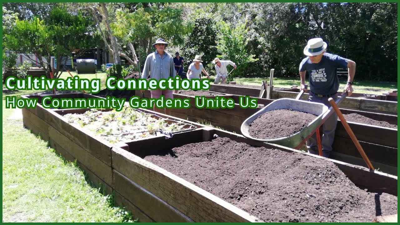 Cultivating Connections: How Community Gardens Unite Us - YouTube