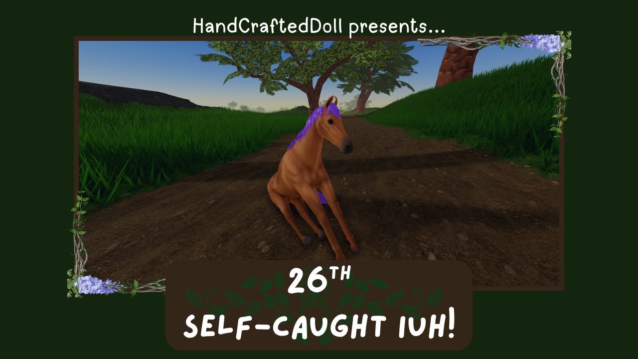 25/07/25 - 26th SC IUH! || #wildhorseislands #WHI #IUH - YouTube