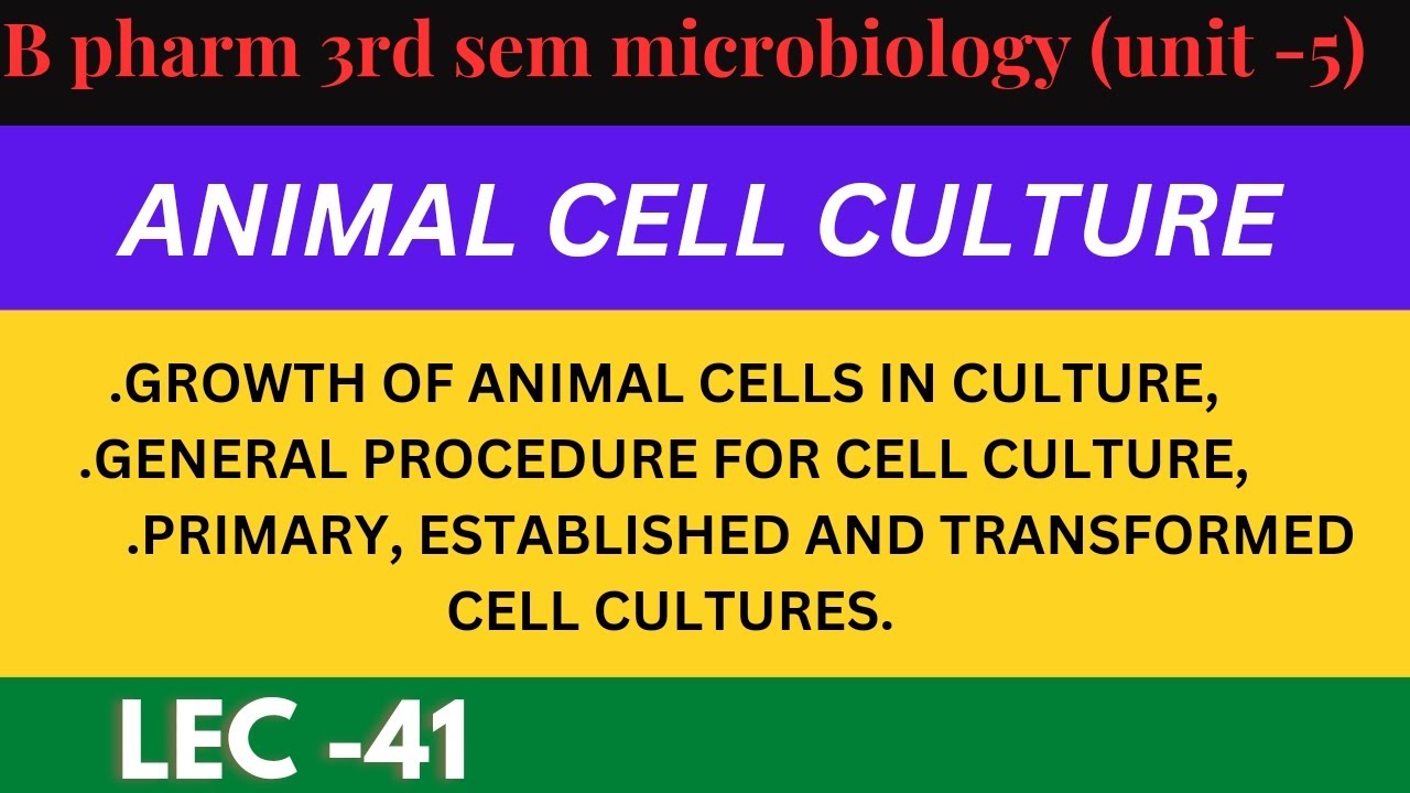 growth of animal cell in culture | procedure of cell culture | types of ...