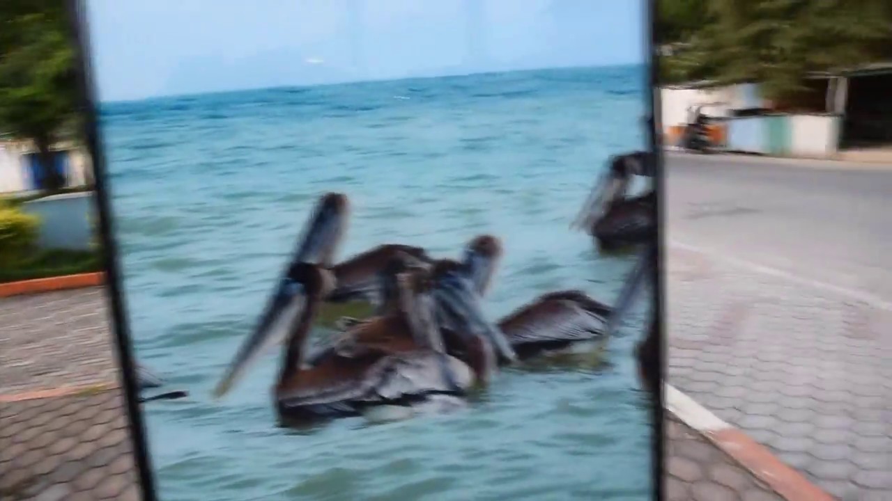 Sua Esmeralda Ecuador - YouTube