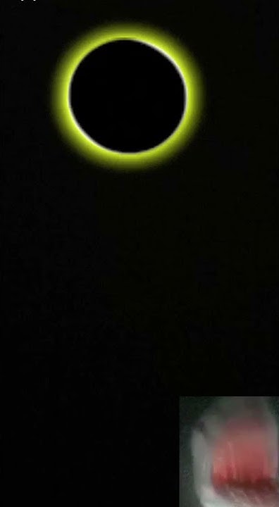 SHARK PUPPET SAW THE SOLAR ECLIPSE - YouTube