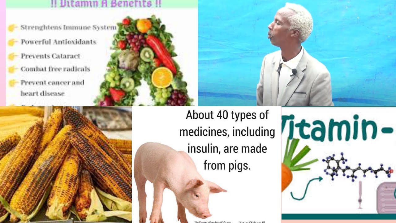 NZUNGU vitamin A/ ingurube ivamo insilin / ISOSI NTISUKURA ISAHANE ...