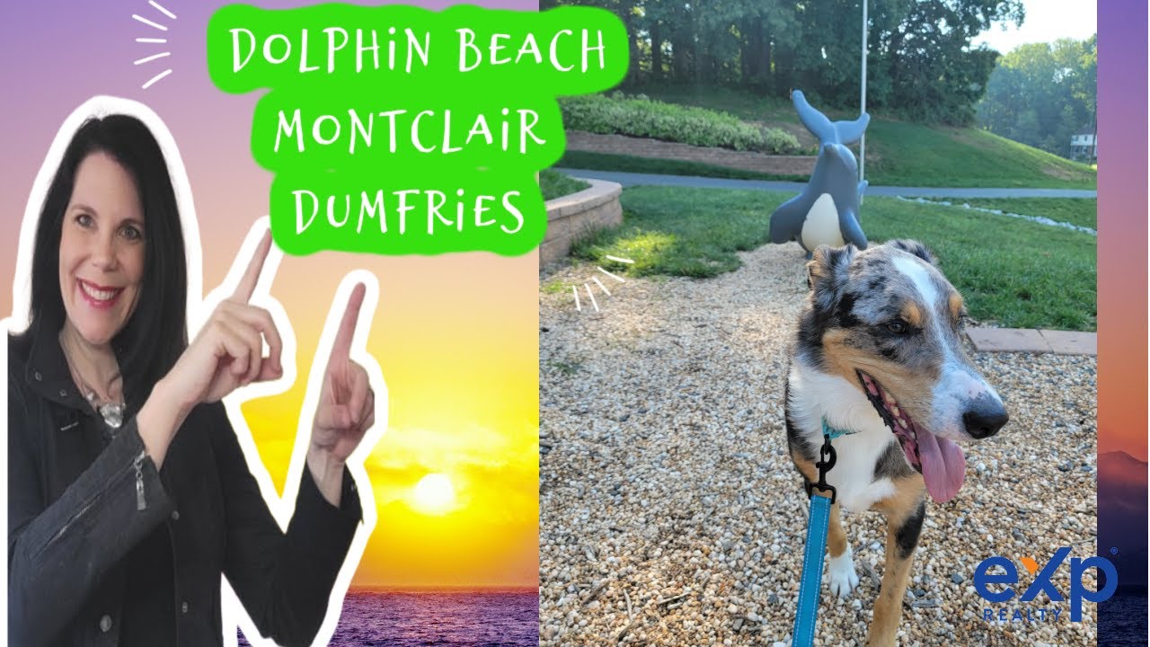 Dolphin Beach in Montclair Dumfries Virginia #montclair - YouTube