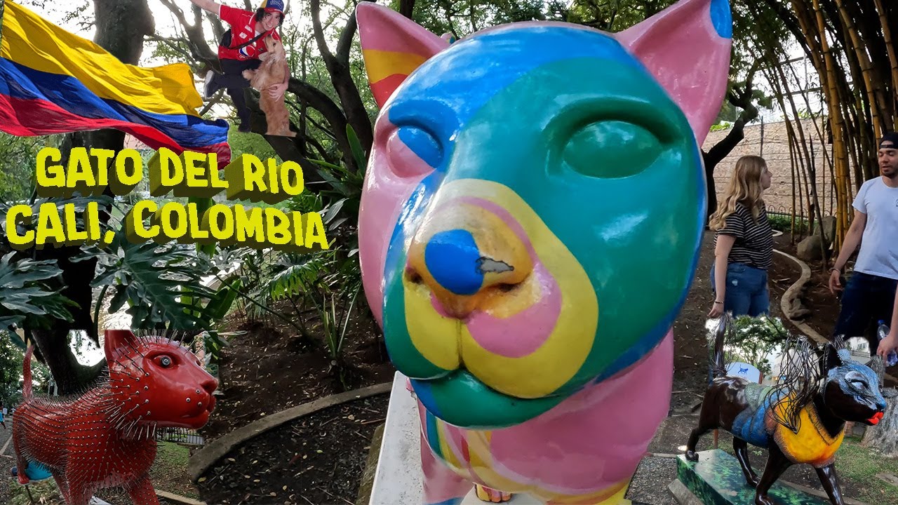 🇨🇴 El Gato Del Rio: Famous Cat Park of Cali Colombia Parque Del Gatos ...