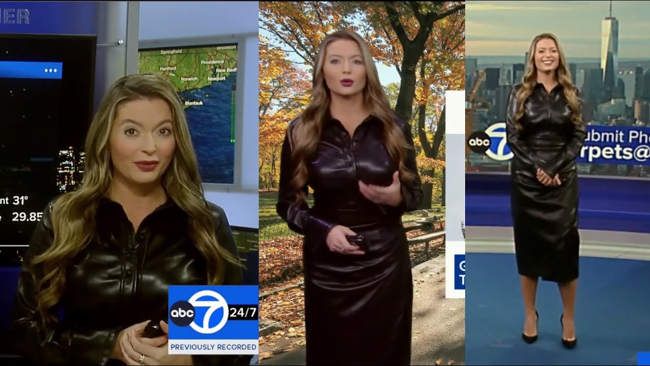 Dani Beckstrom for ABC7 Eyewitness News Big Dog Sunday & Weather clips ...