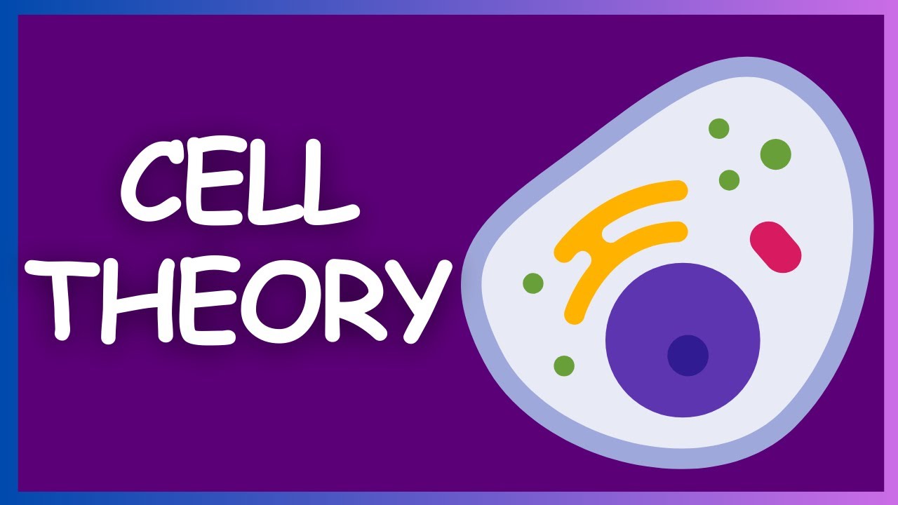Cell Theory Class 9 | Biology - YouTube