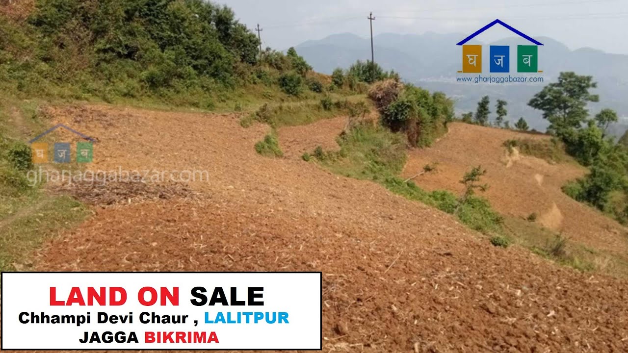 plot farming Land on sale Chhampi Devi Chaur Lalitpur | ghar jagga ...