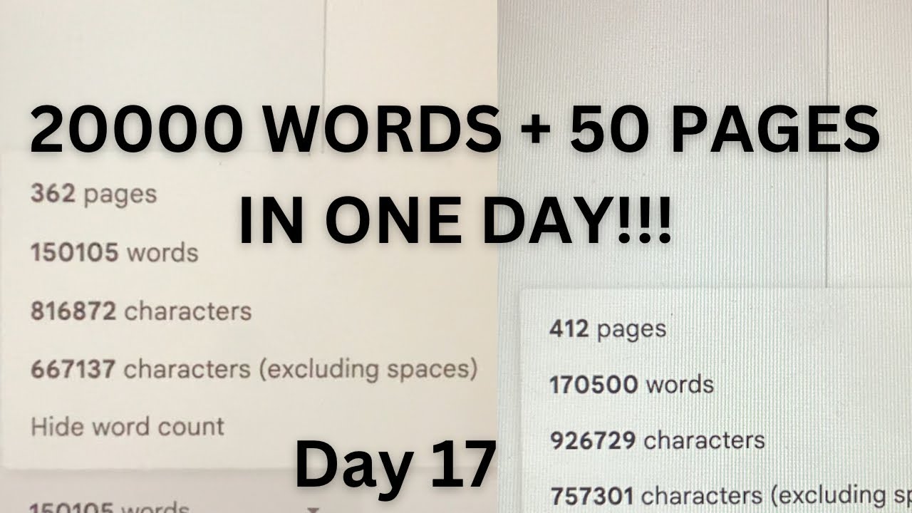 20000 WORDS IN 1 DAY!!! 2024 NaNoWriMo Day 17 - YouTube