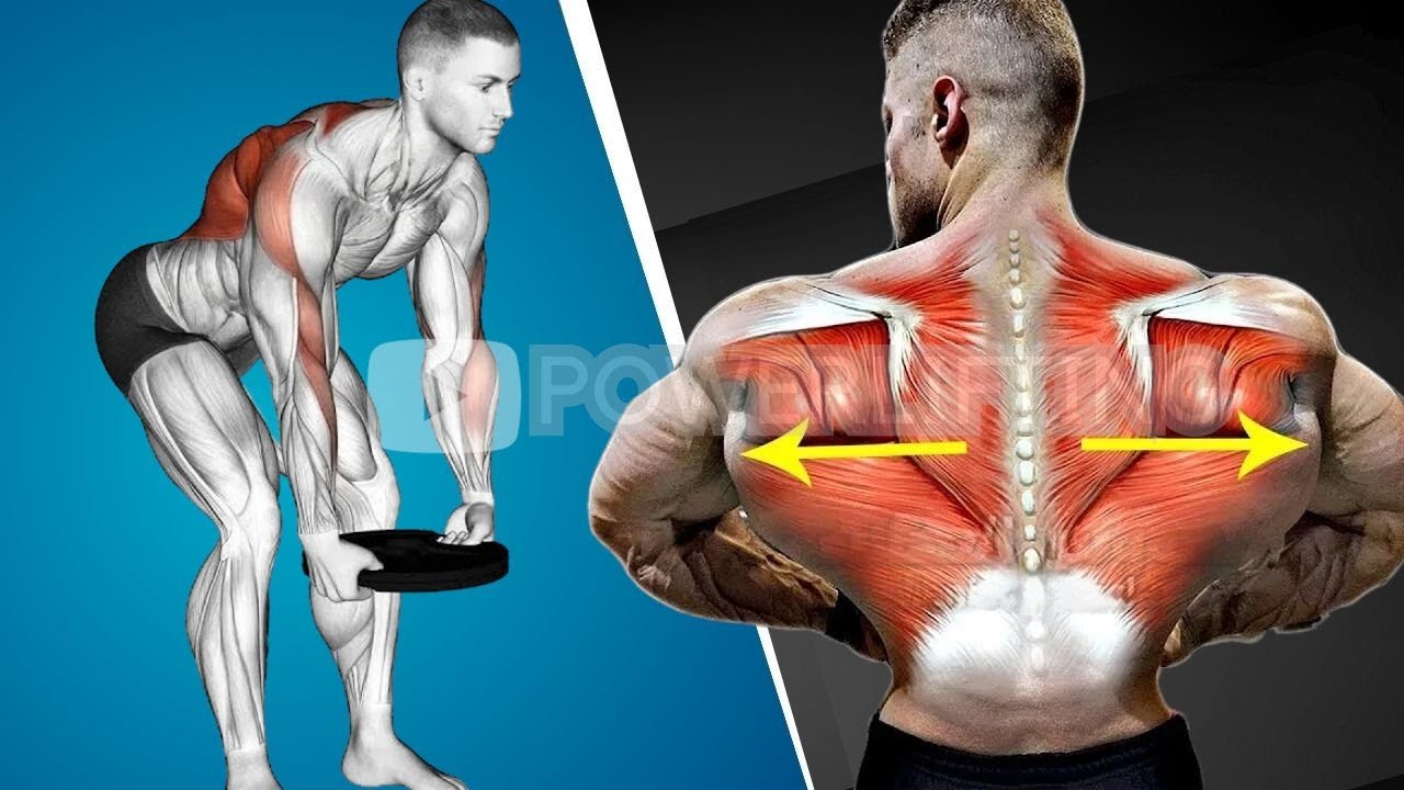 Top 8 Back Exercises For Mass - Best Big Back Workout - YouTube