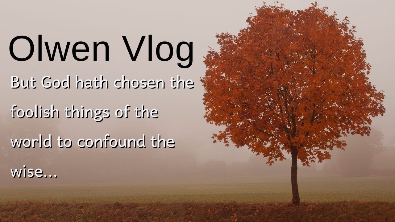 But God hath chosen the foolish things of the world to confound the ...