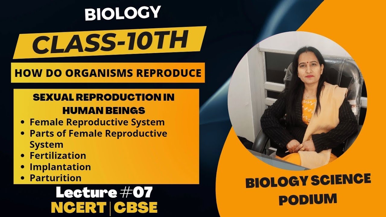 7. How Do Organisms Reproduce| Class-X | CBSE| NCERT/female ...