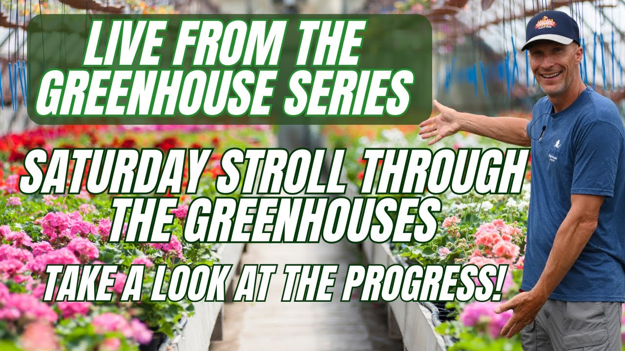 Enjoy the Flowers as You Walk Through Our Greenhouses - Live from the ...