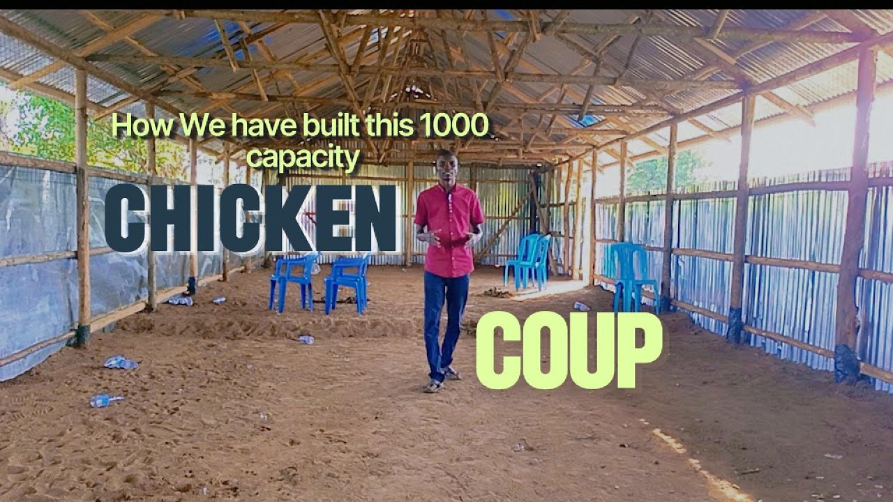 HOW WE BUILT A 1000 CAPACITY LAYER CHICKEN COUP - YouTube