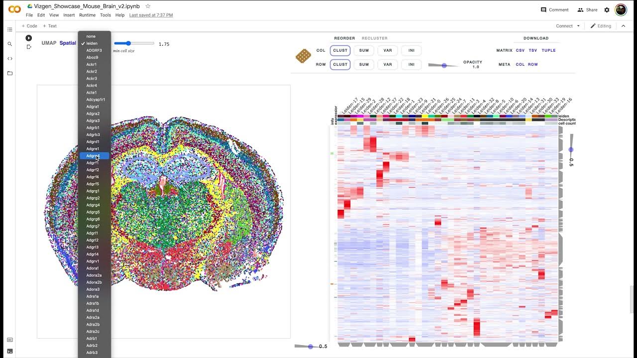 Vizgen's MERFISH Mouse Brain Receptor Map Colab Notebook Tutorial - YouTube