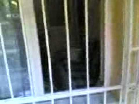 kendini kaybeden çocuk :))