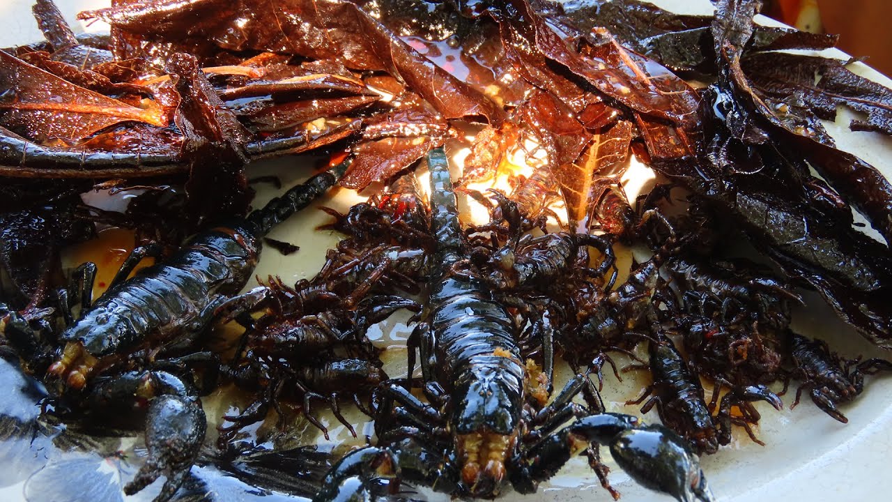 Amazing Food# Eating fried scorpion...... - YouTube