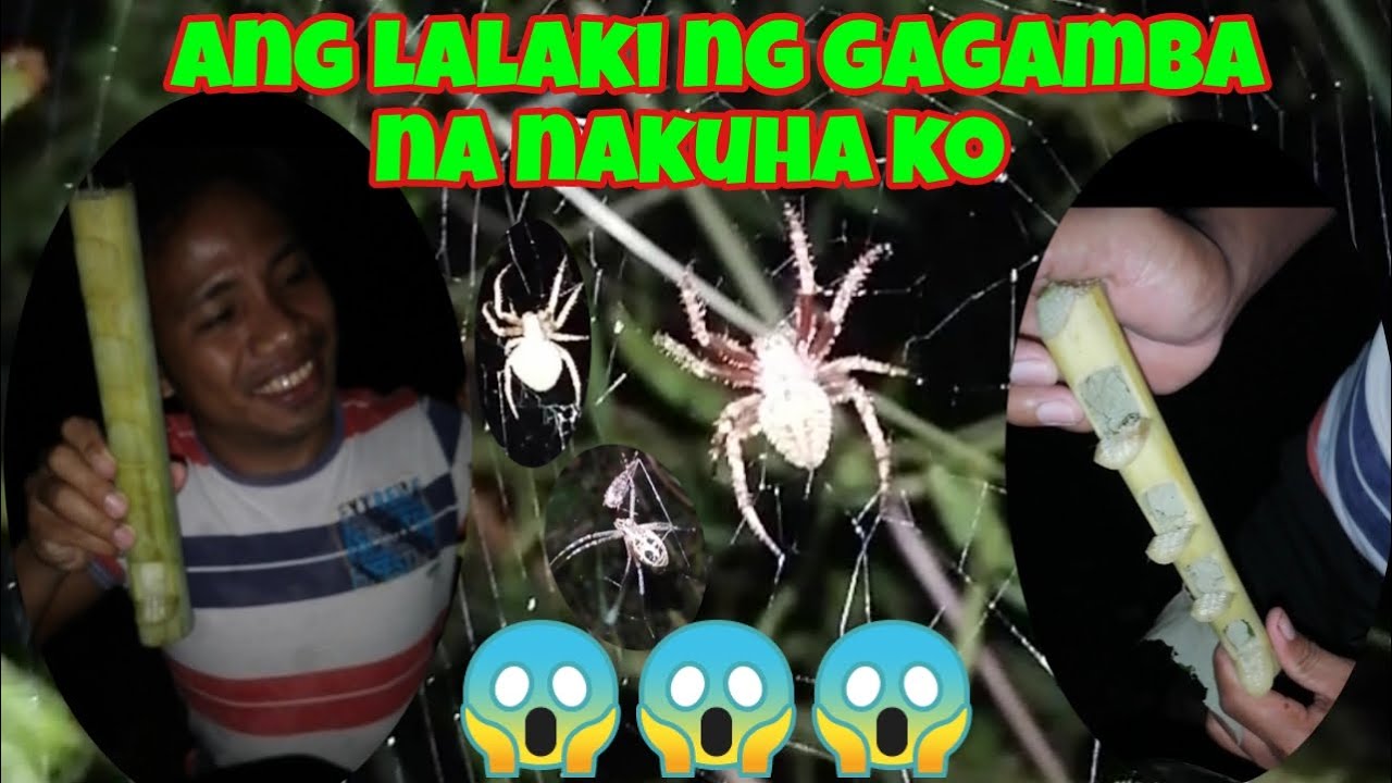 Paano gumawa ng improvise na bahay ng Gagamba👌 - YouTube