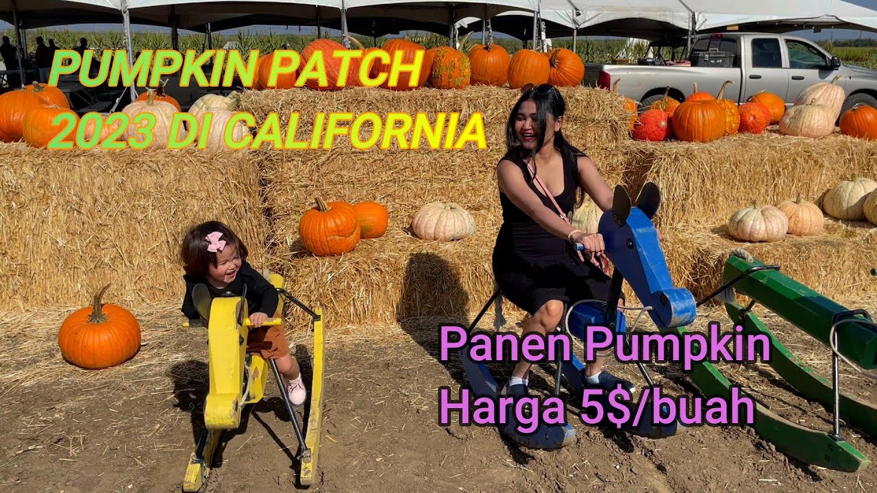 Vlog Pumpkin Patch 2023 di California, Vlog pertama sama duo bocil - YouTube