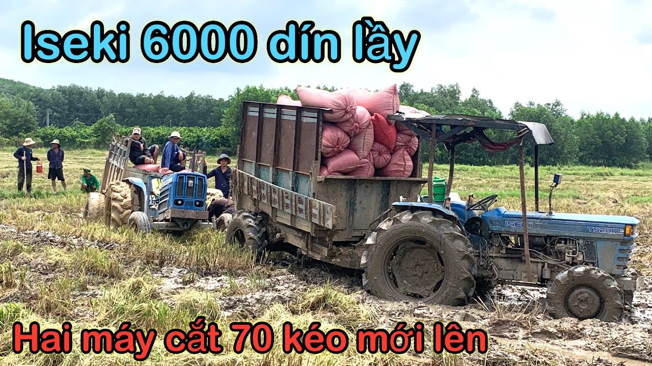 Máy cày iseki 6000 kéo lúa dín lầy ở đồng bào cát xã lạc an nay là xã ...