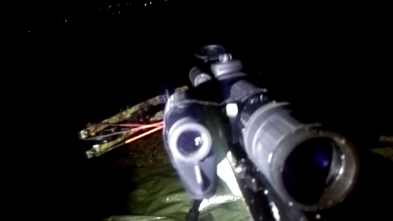 TenPoint stealth FX4 + night vision 80m. - YouTube