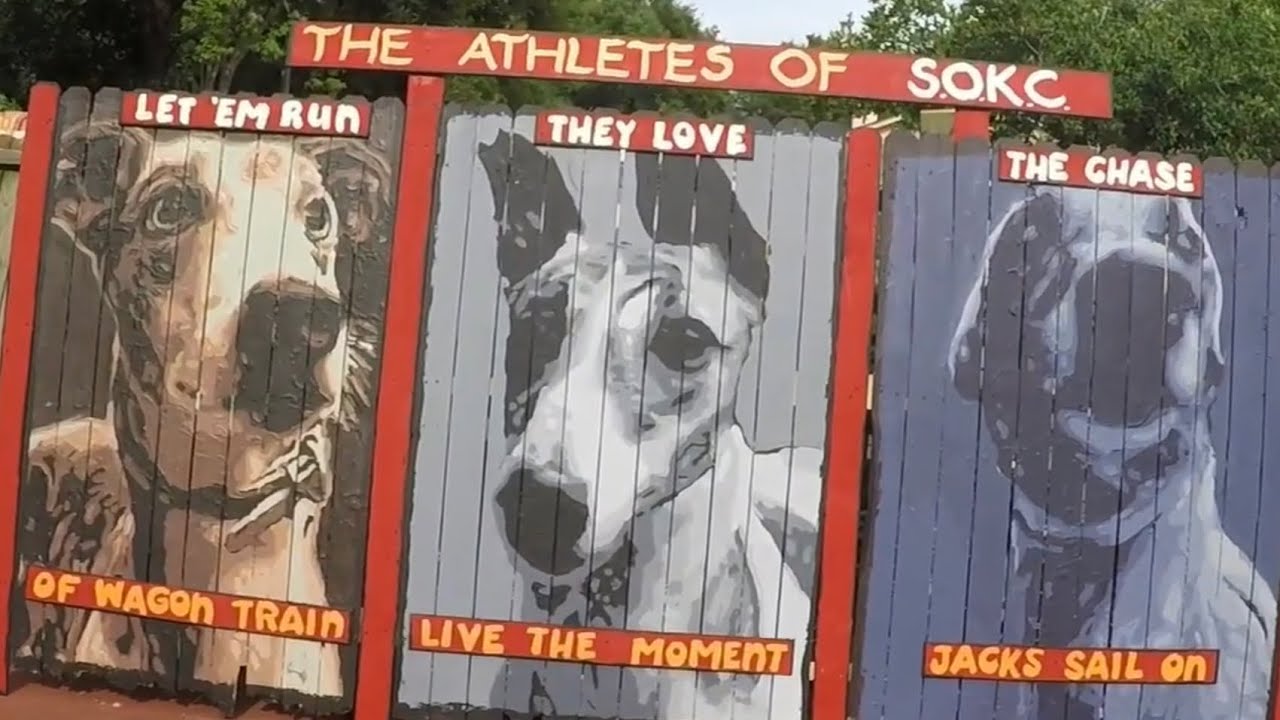 Greyhound Athletes of SOKC. Greyhounds - YouTube