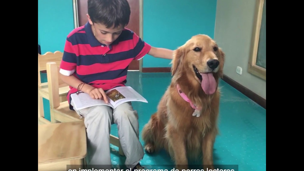 Programa de Perros Lectores - YouTube