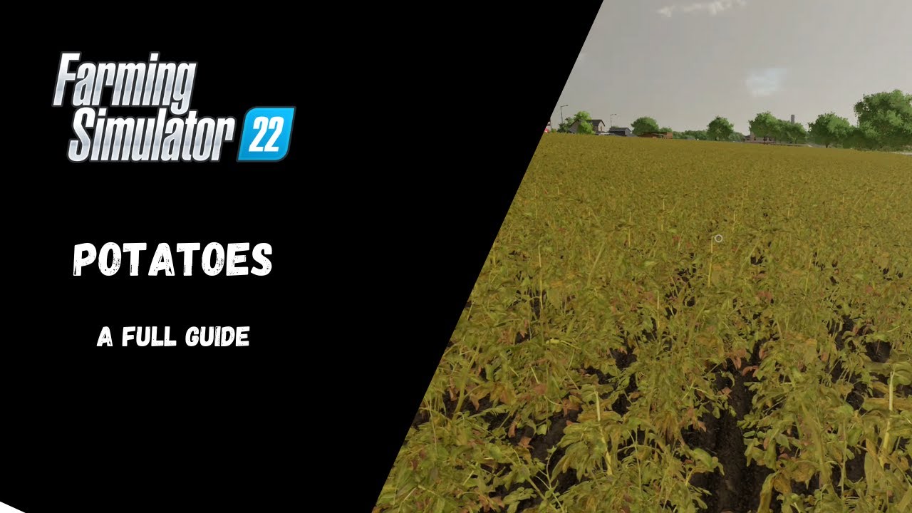 FS22 - Potatoes, A Full Guide - Farming Simulator 22 - YouTube