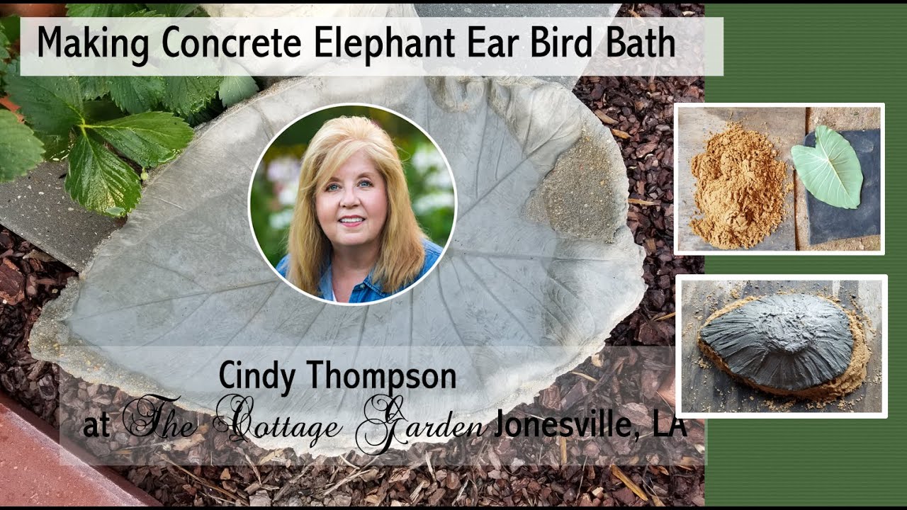 Building an Elephant Ear Bird Bath - YouTube