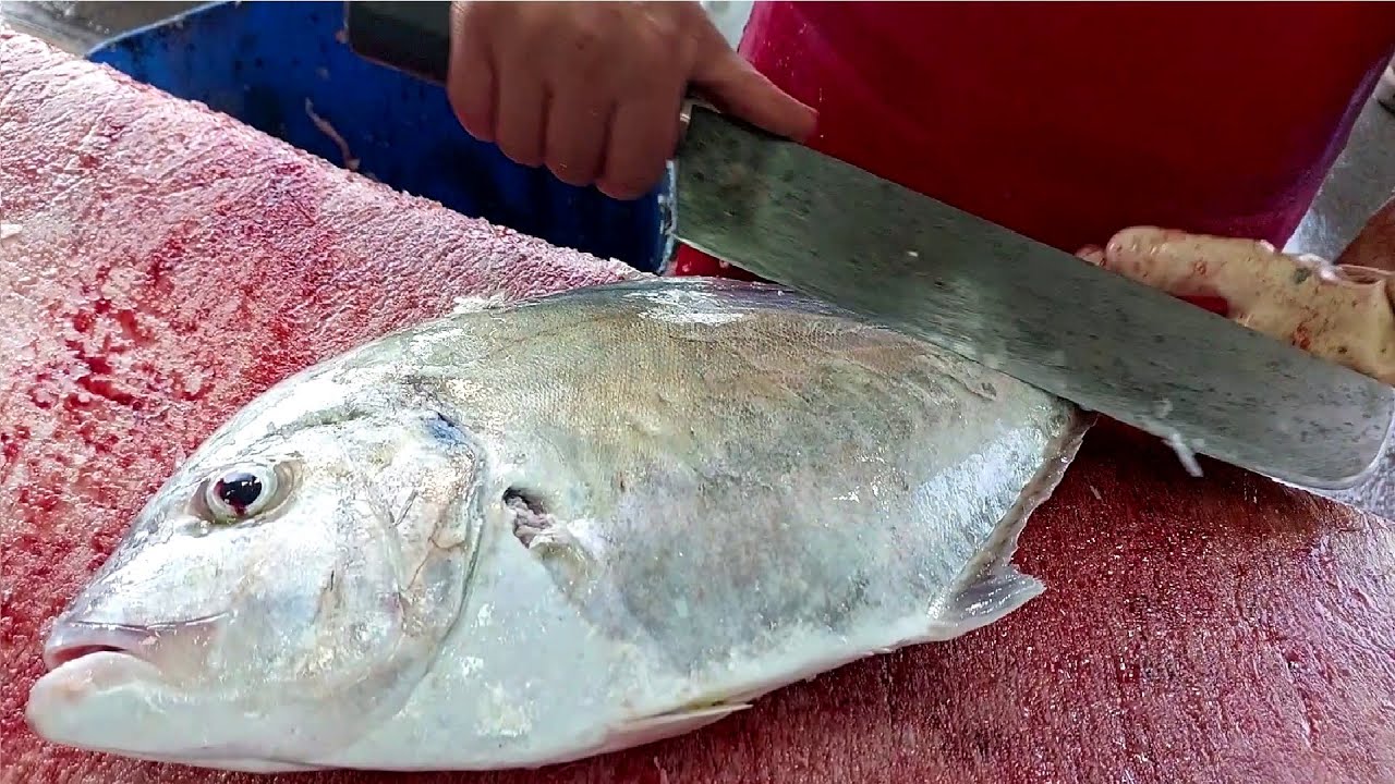 Trevally Fish Cutting | EXPERT FISH CUTTER - DELICIOUS FOOD - YouTube