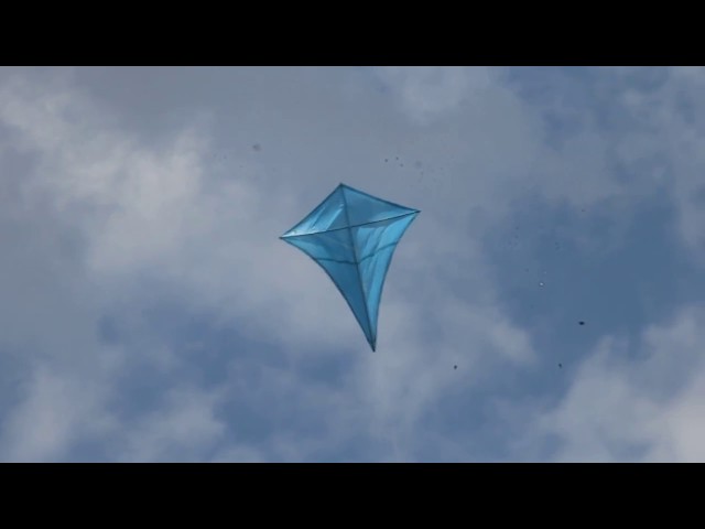 Blue Kite From Kite Runner