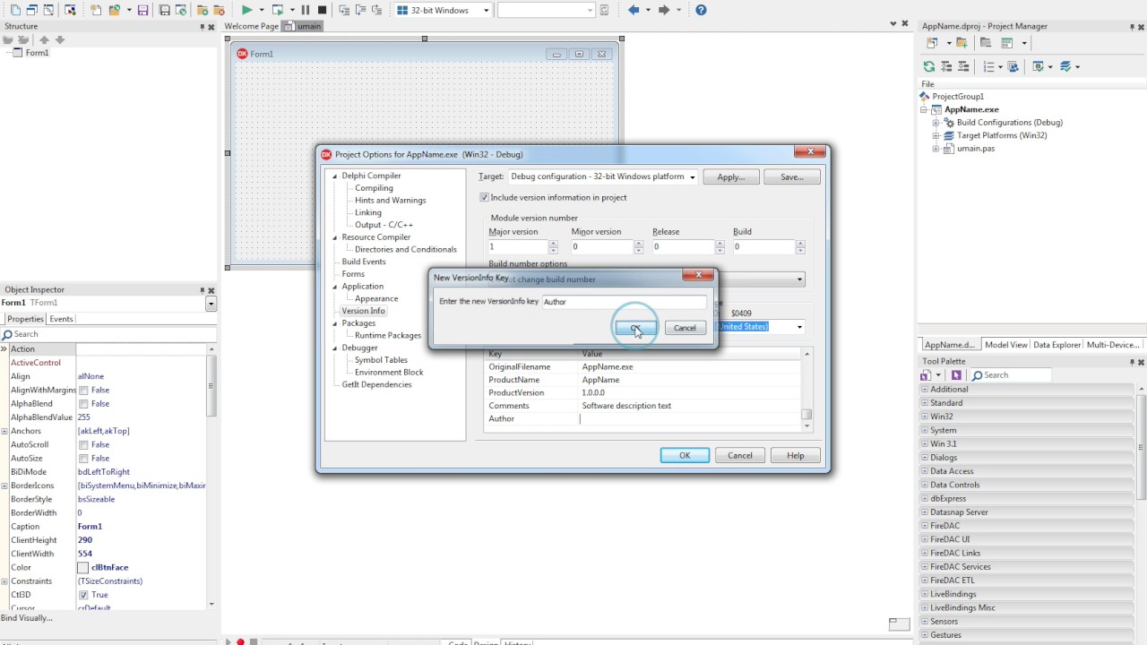Delphi Mainform And Project Settings Youtube