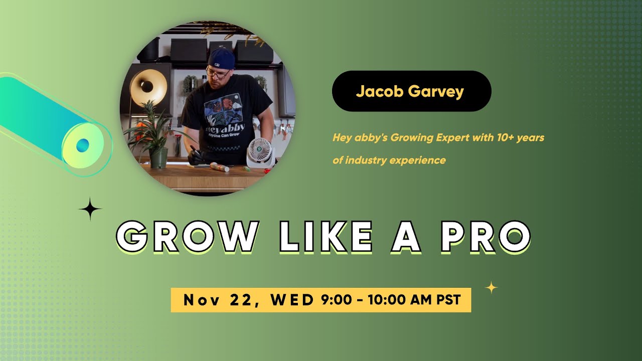 Hey abby Black Friday Live - YouTube