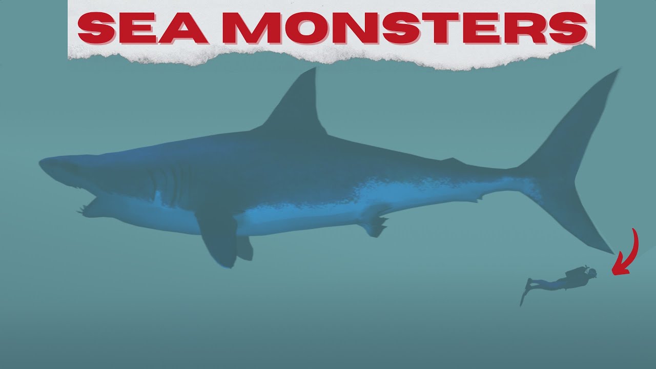 REAL SEA MONSTERS: Size Comparison 🦈 3D animation - YouTube